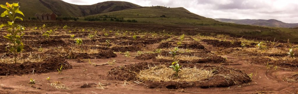 How is Coffee Made - All Questions And Answers