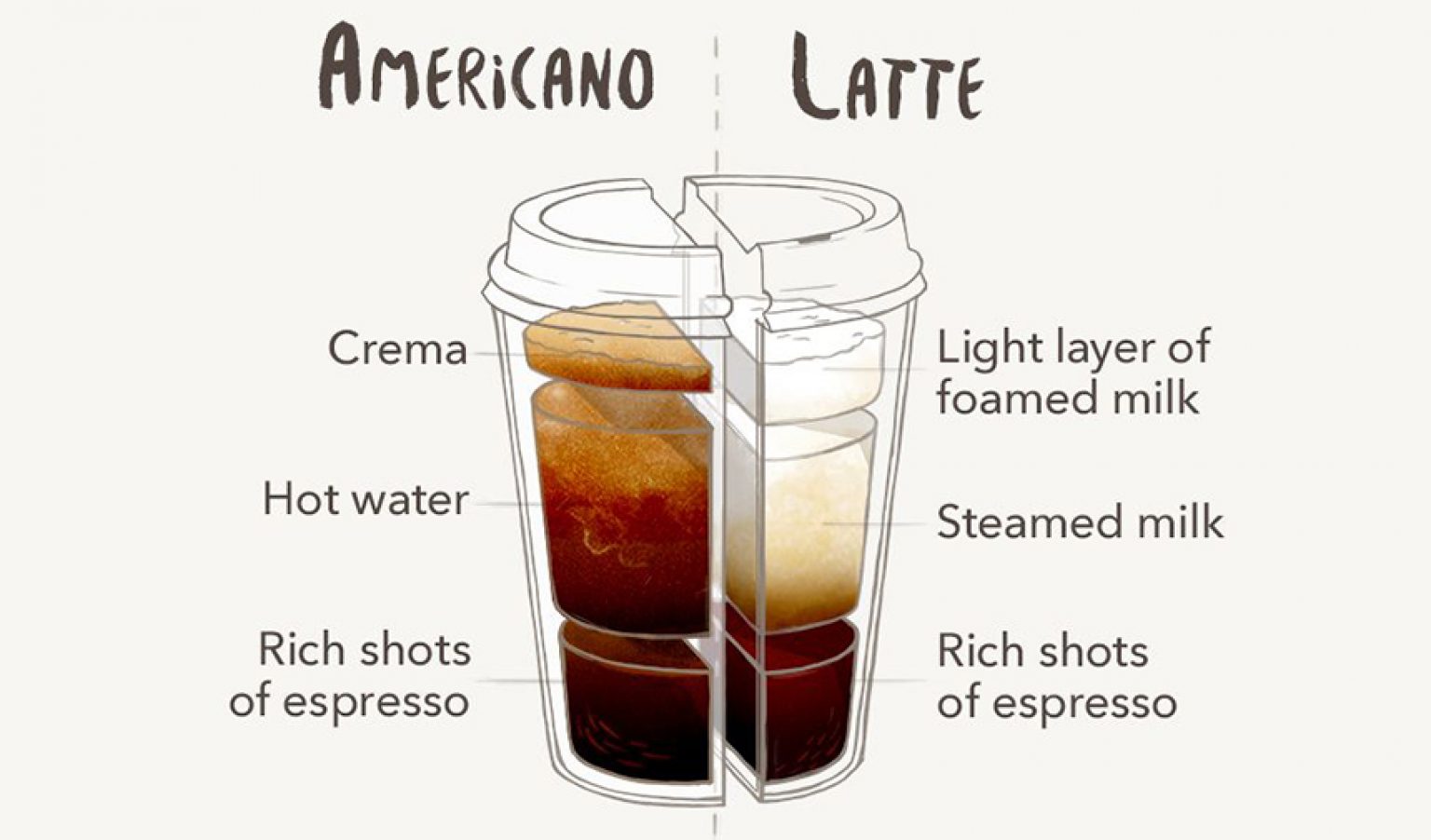 Americano vs Latte: What's the Difference?