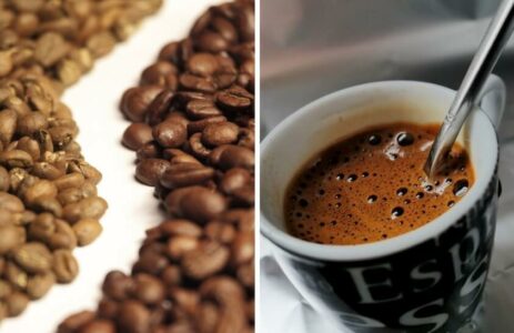 Espresso Beans vs Coffee Beans: 7 Main Differences Explained