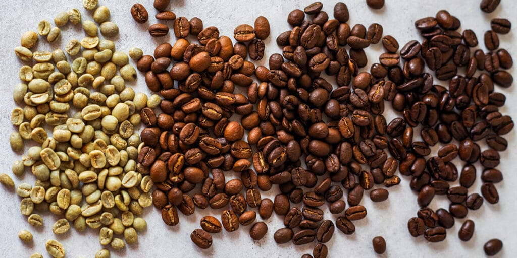 What Is Coffee Bloom? | How to Bloom Your Coffee Properly