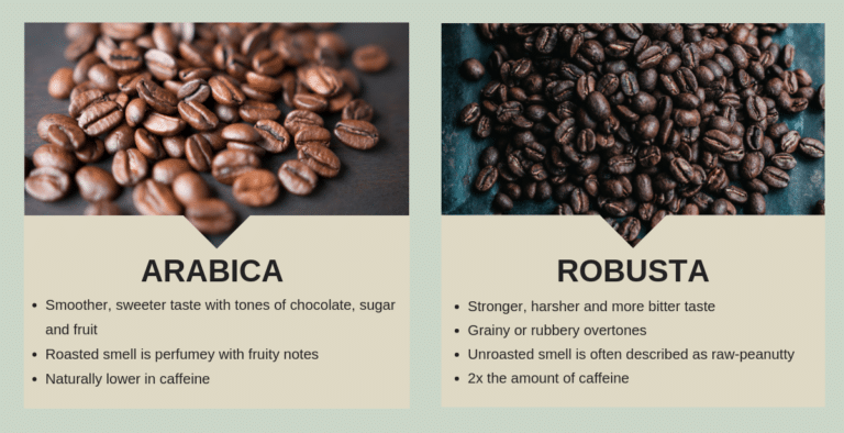 Why Is Coffee Bitter? - 9 Reasons and Best Solutions
