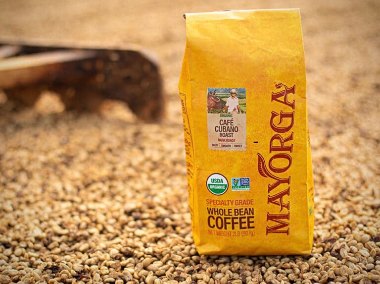 8 Best Costco Coffee Brands Reviewed in Detail (Winter 2024)